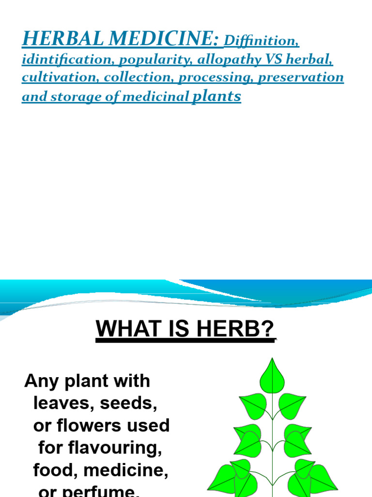 Herbal Medicine: Identification & Benefits | PDF | Plant Hormone | Soil