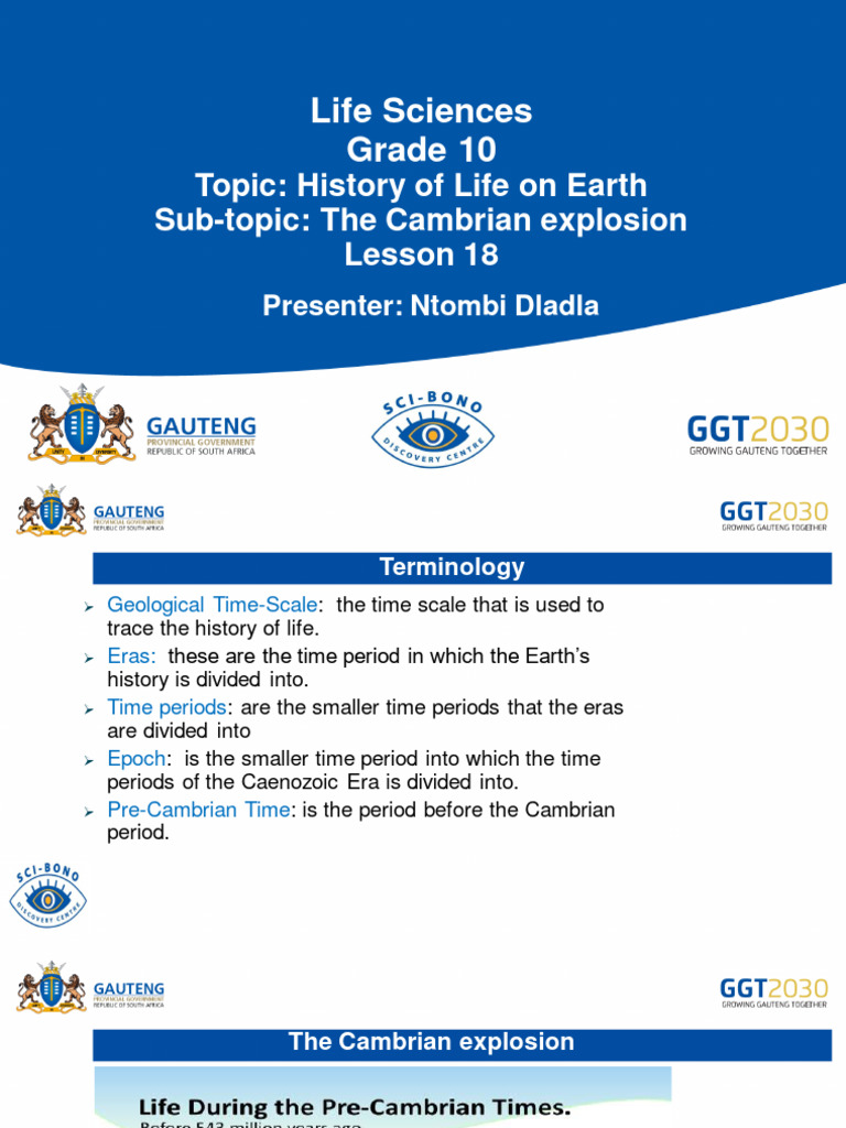 Cambrian Explosion: Key Facts | PDF | Geologic Time Scale | Invertebrate