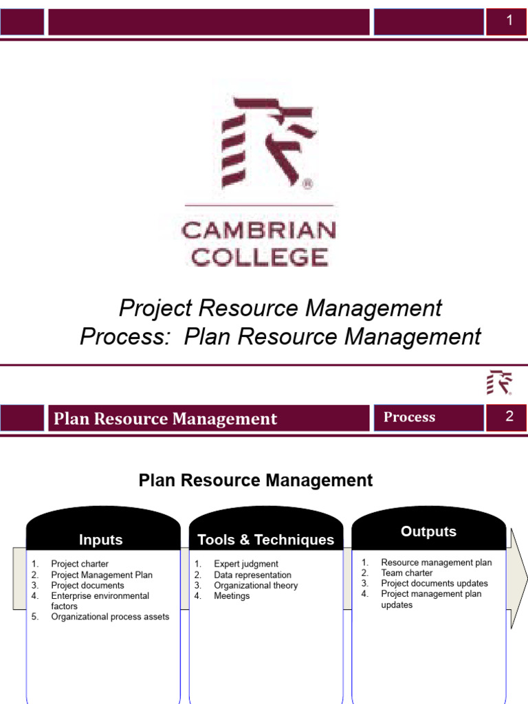 Plan Resource Management Process Week 1 | PDF | Project Management | Business