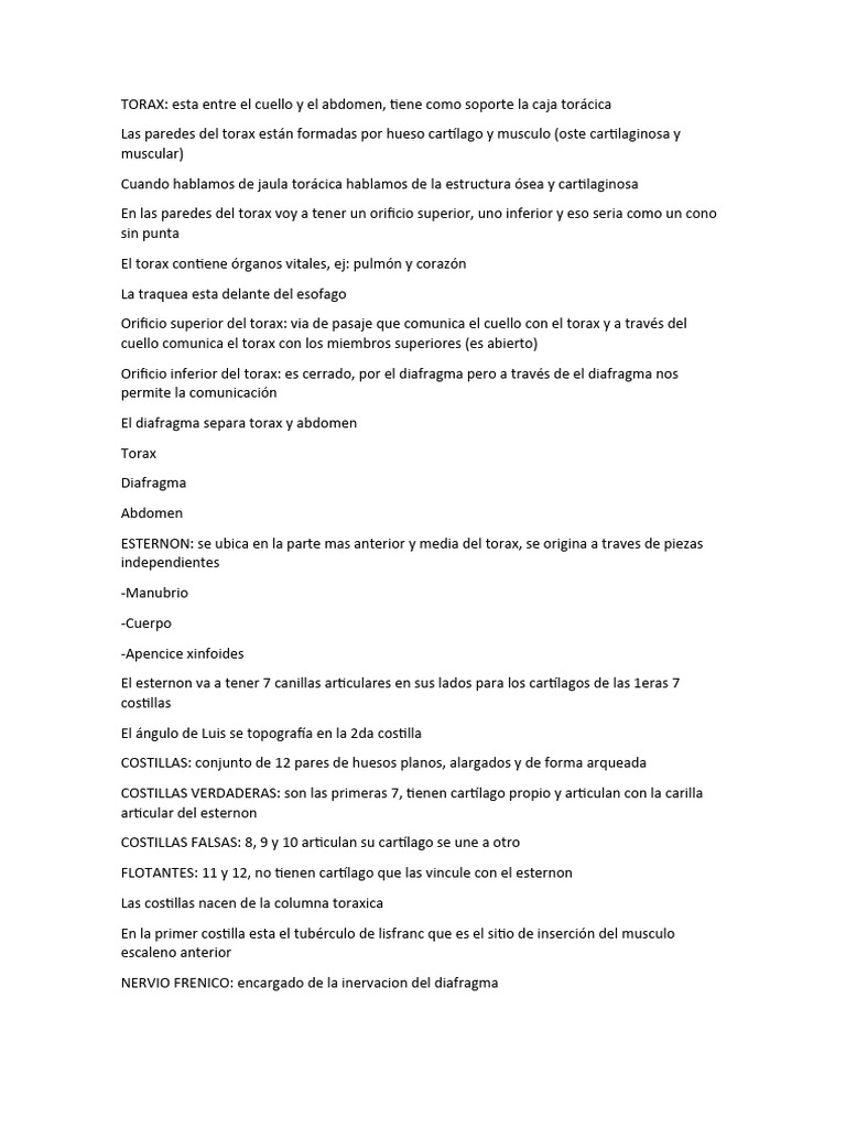 Anatomia 2do Parcial 2024 | PDF | Riñón | Abdomen