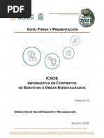 Manual para Llenado de ICSOE | PDF | Negocios