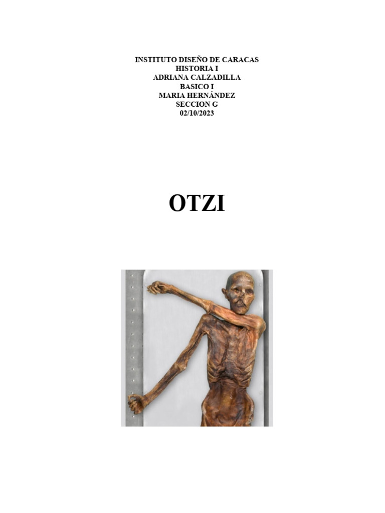 Ensayo Otzi | PDF | Ropa