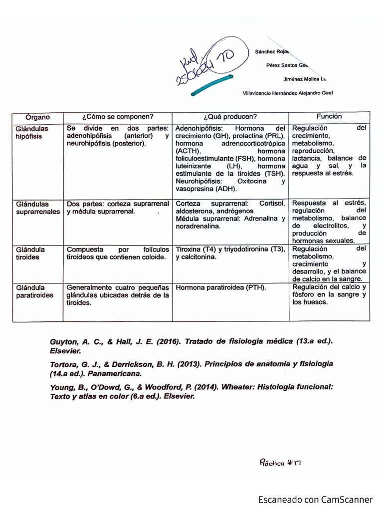 17 practica 17 Cuestionario | PDF
