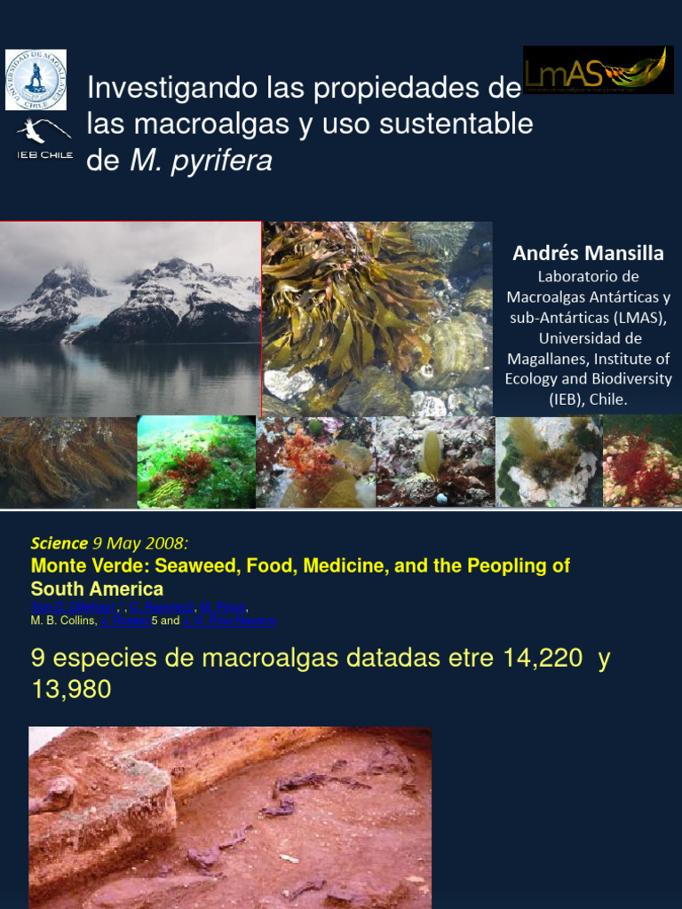 Investigando las propiedades de las macroalgas y uso sustentable de M ...