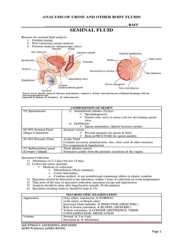 Seminal Fluid C10 | PDF | Semen | Human Reproduction