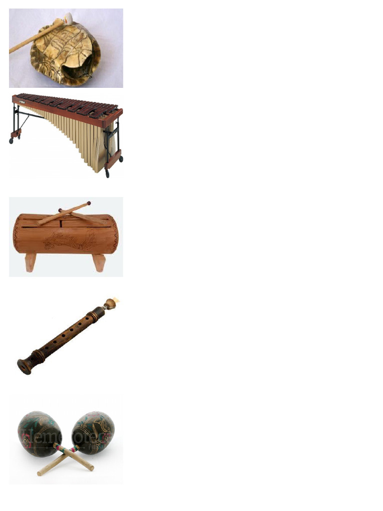 Instrumentos Autoctonos | PDF