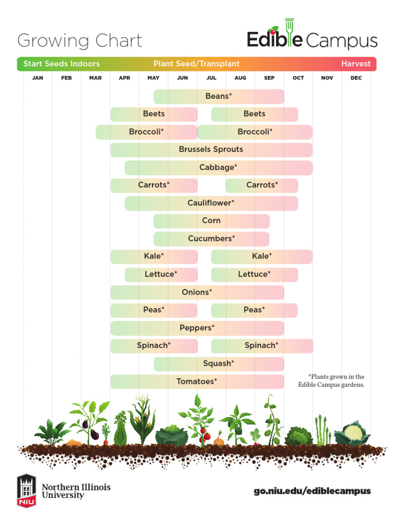 Edible Campus Growing Chart | PDF
