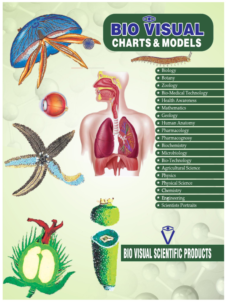 Bio Visual Chart Book | PDF