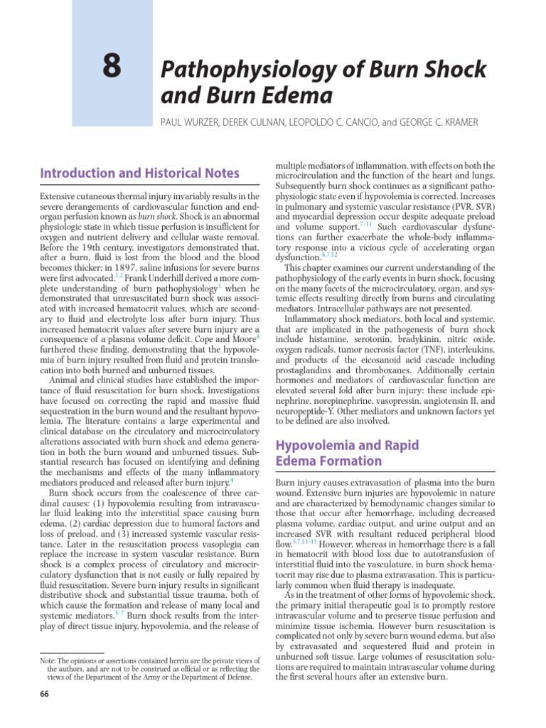 Fisiopatologia Del Quemado | PDF | Edema | Shock (Circulatory)