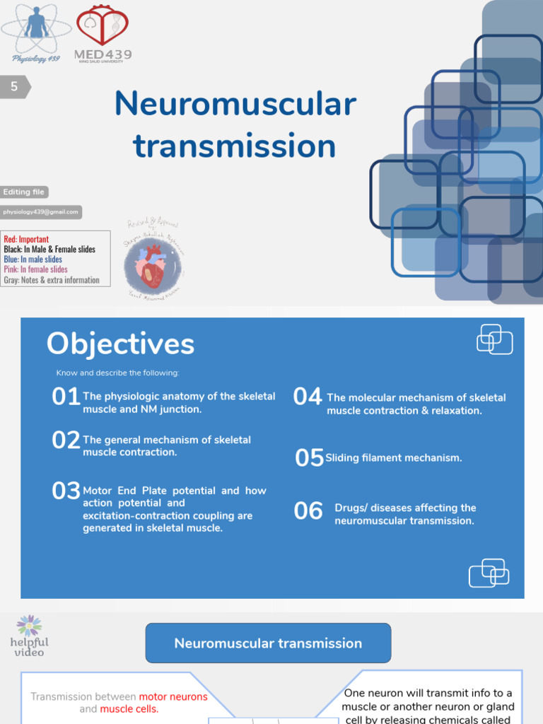 Neuromuscular Transmission Overview | PDF | Neuromuscular Junction ...