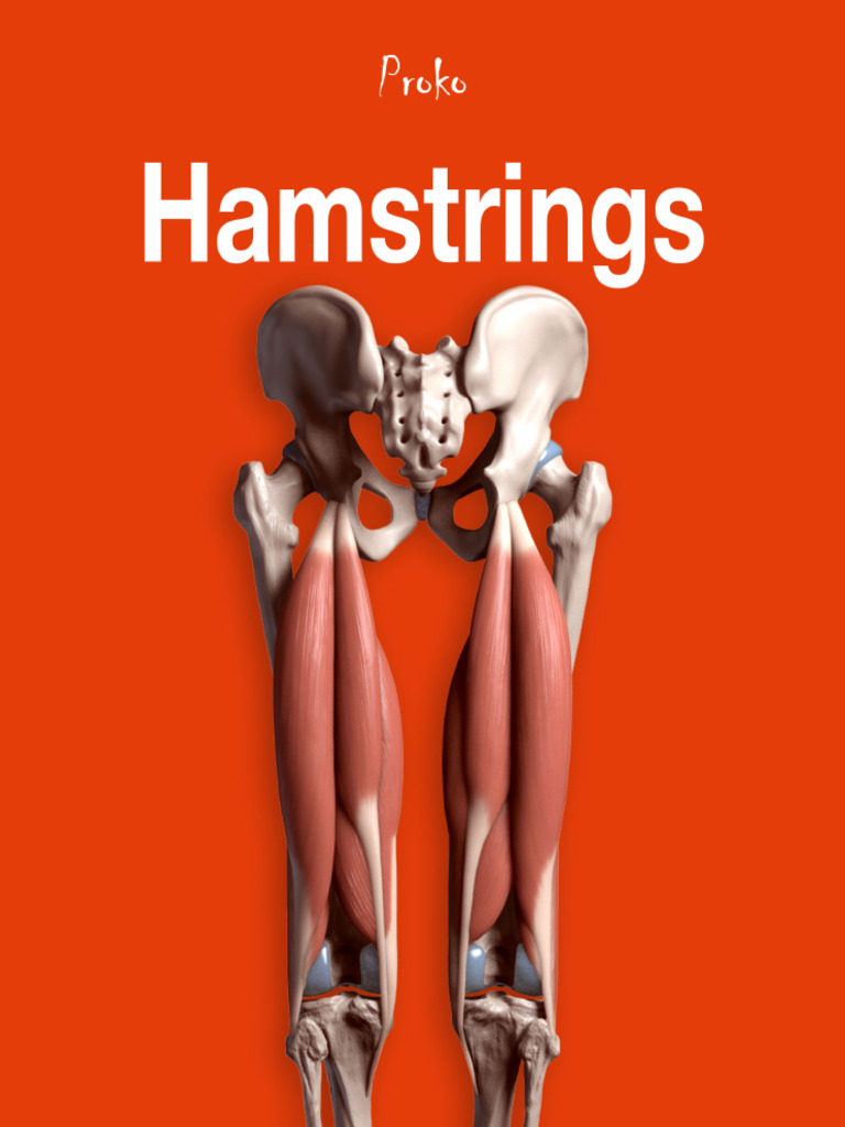 Hamstrings Ebook | PDF