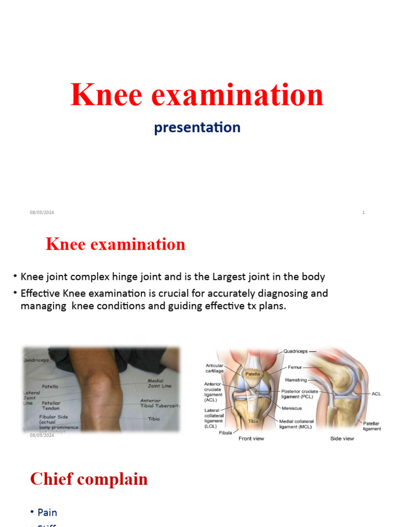 Knee Examination | PDF | Knee | Musculoskeletal System