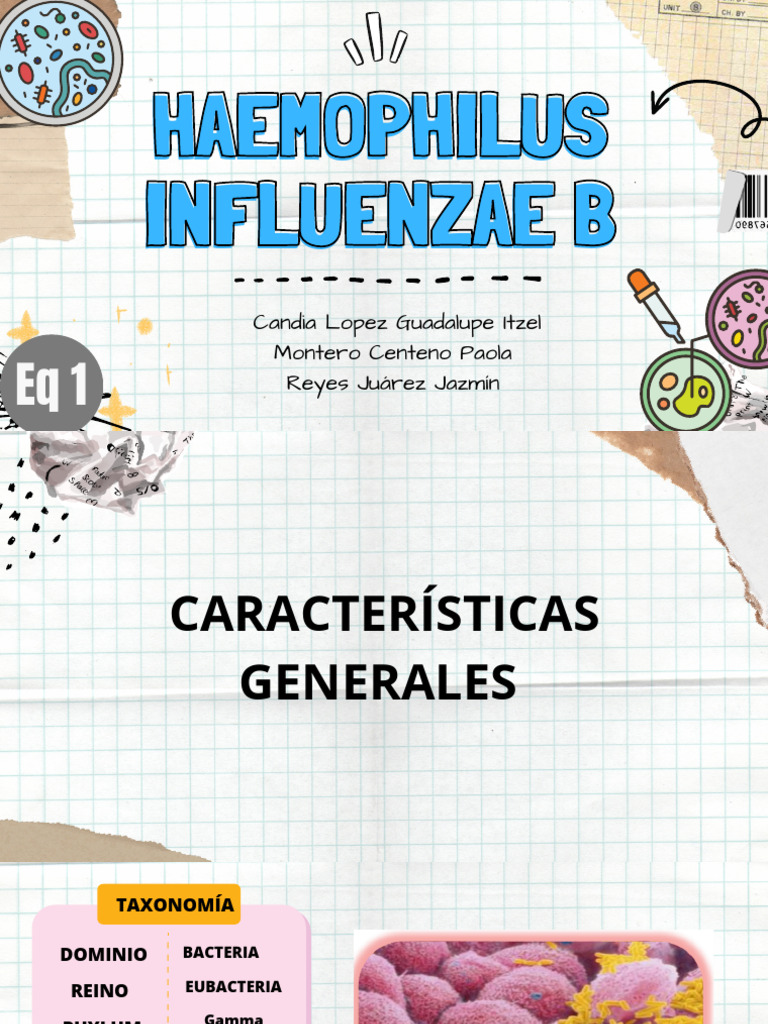 Haemophilus (1) | PDF | Meningitis | Especialidades Medicas