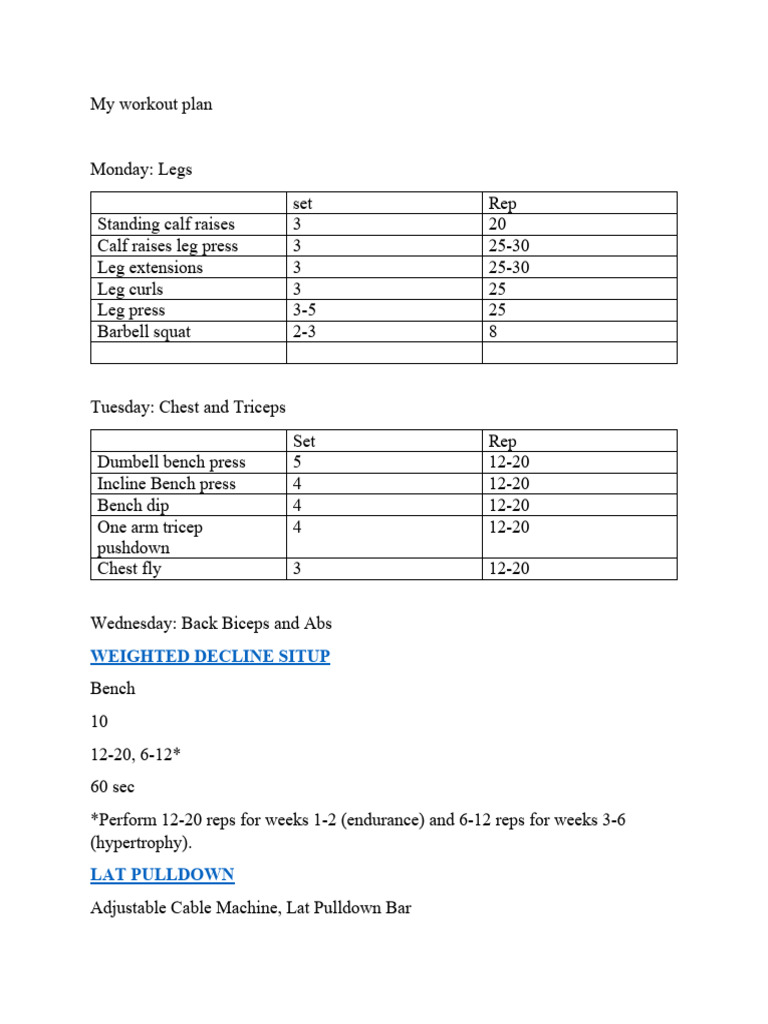 My workout plan | PDF | Weight | Physical Exercise