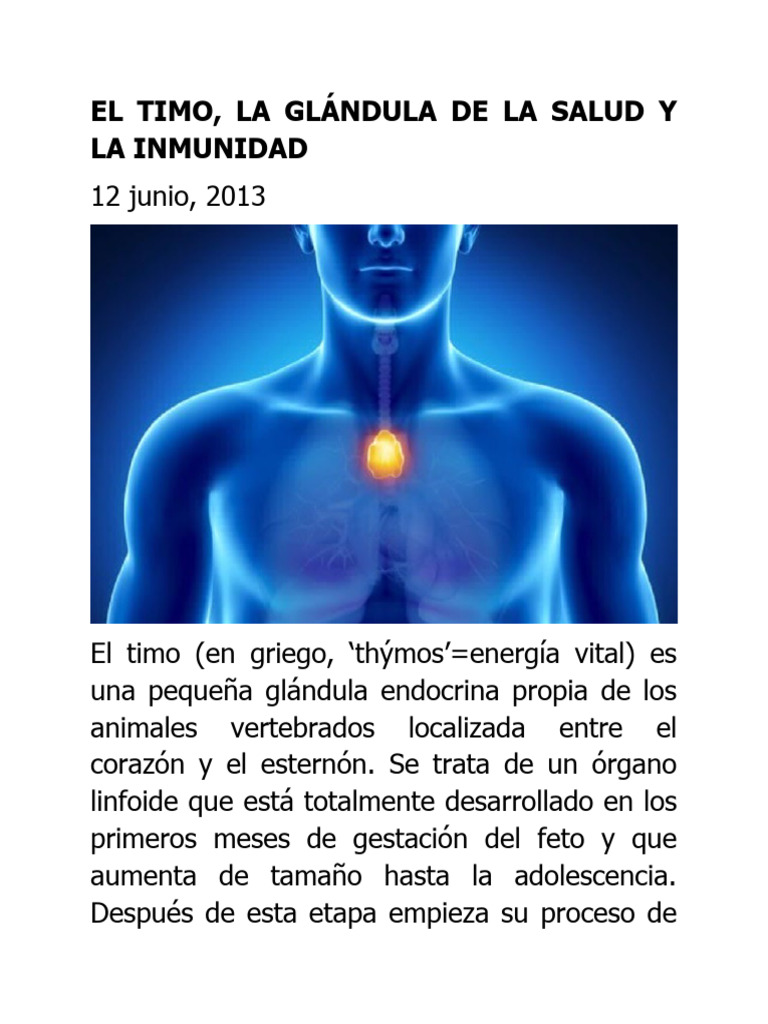 El timo: clave para la inmunidad | PDF | Célula T | Linfocitos