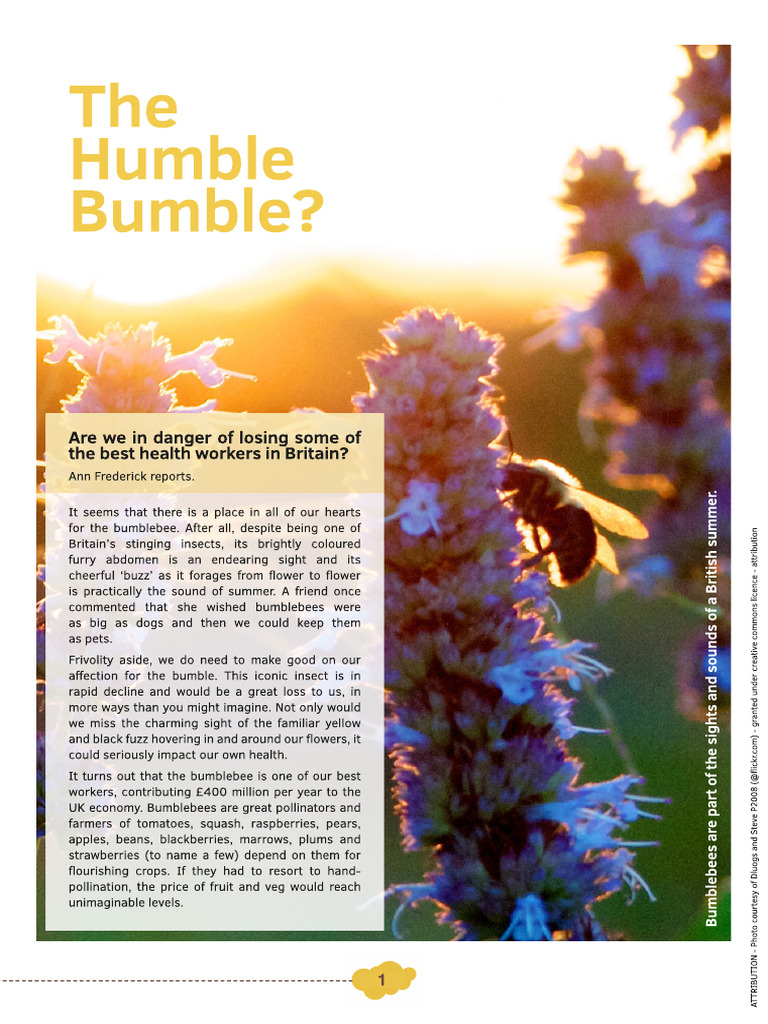 GCSE Style Reading and Writing Assessment - Bumblebees - Text | PDF