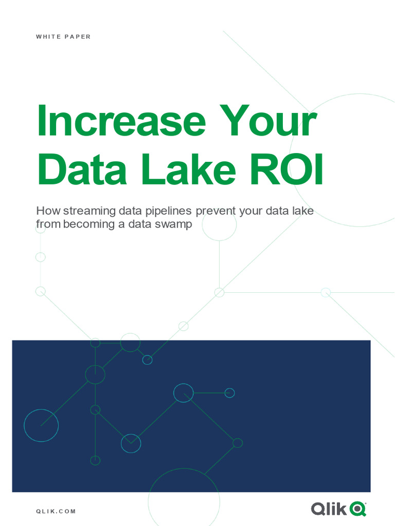 Increase Data Lake ROI Whitepaper A4 | PDF | Cloud Computing | Metadata
