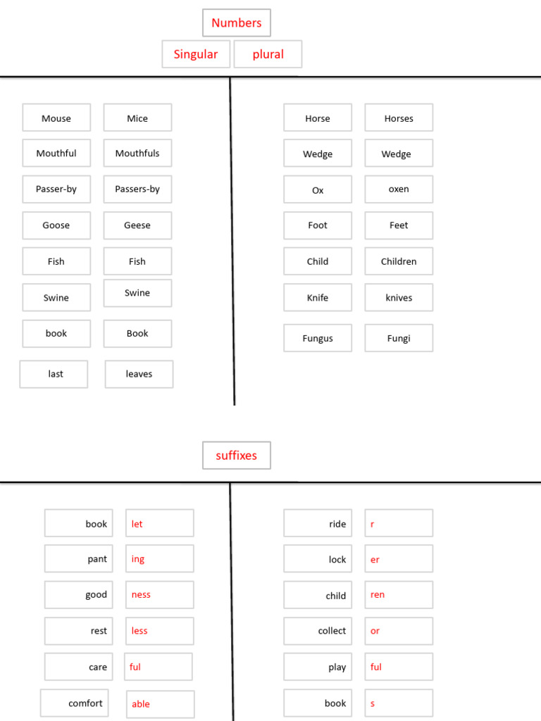 singular plural - PDF | PDF | Grammatical Gender