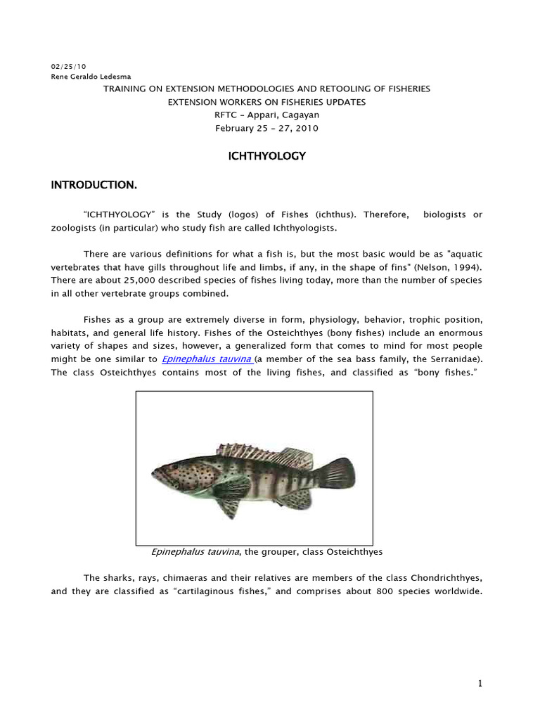 Training Document, Ichthyology, Fish Taxonomy & Anatomy Fresh ...