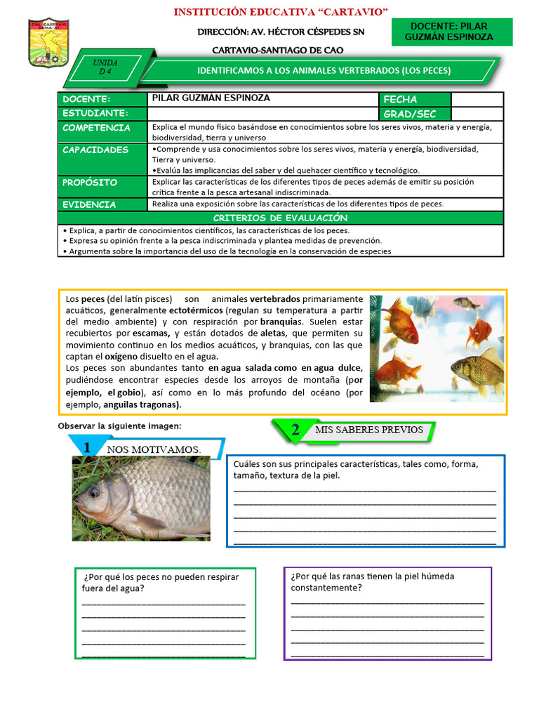 ACTIVIDAD Animales Vertebrados (Los Peces) | PDF | Pescado | Branquia