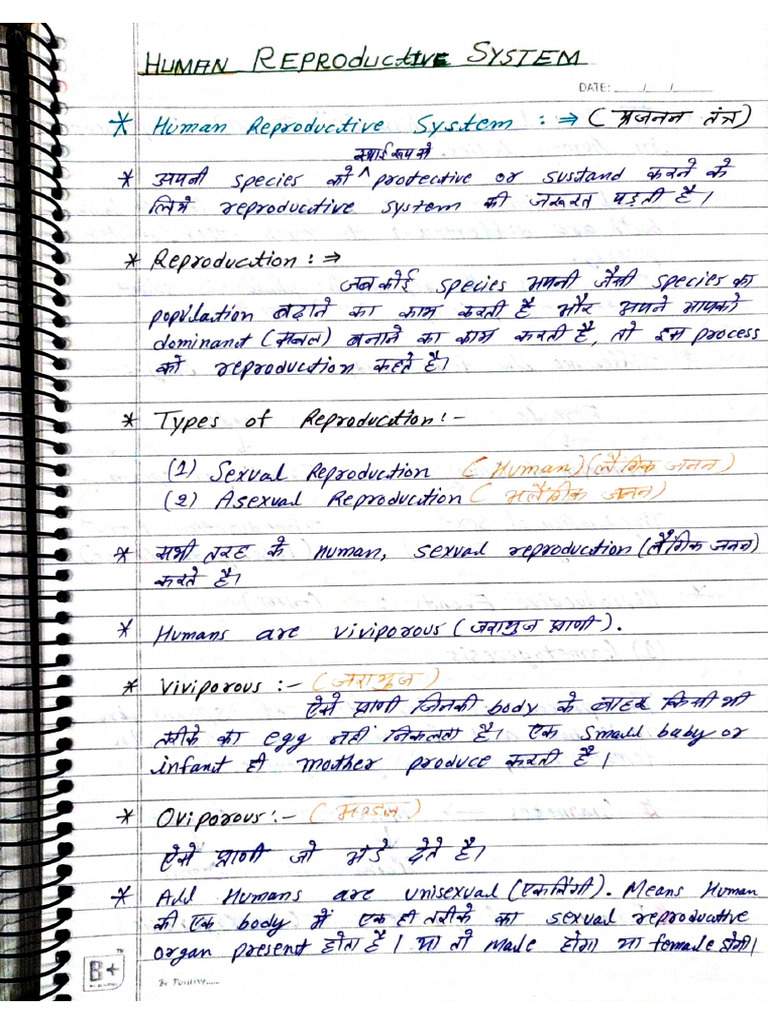 Human Reproductive System | PDF