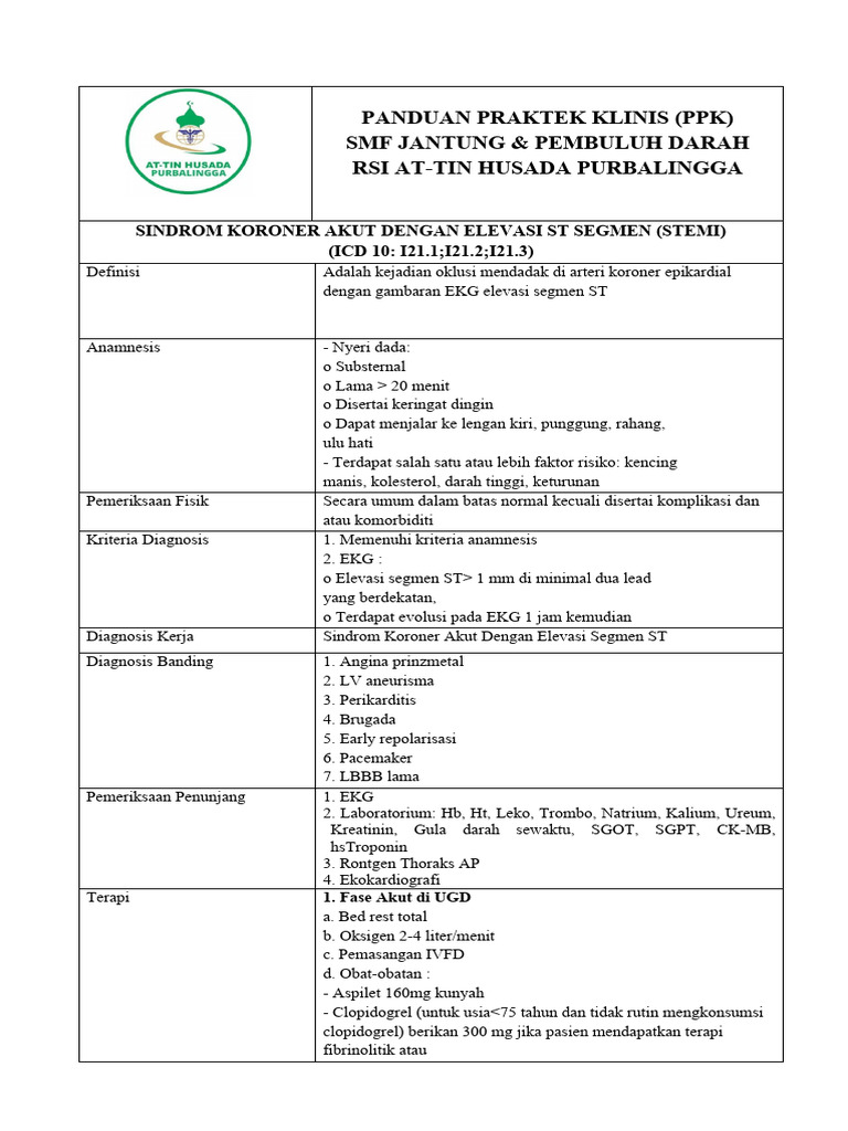 File PPK Stemi | PDF
