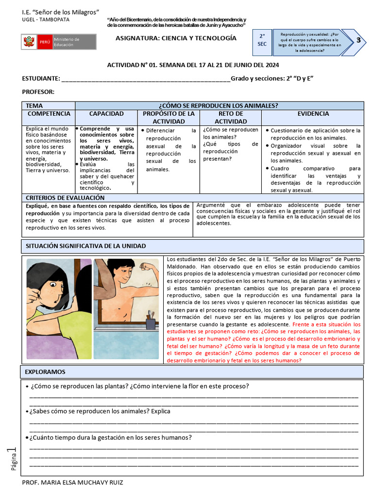 2°sec - UNIDAD 3 - ACTIVIDAD 1 (CyT Explica 2024) - Cómo Se Reproducen Los Animales | PDF | Sexo ...