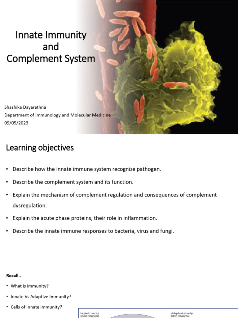 PPT - Innate Immunity and Complement System | PDF | Immune System ...