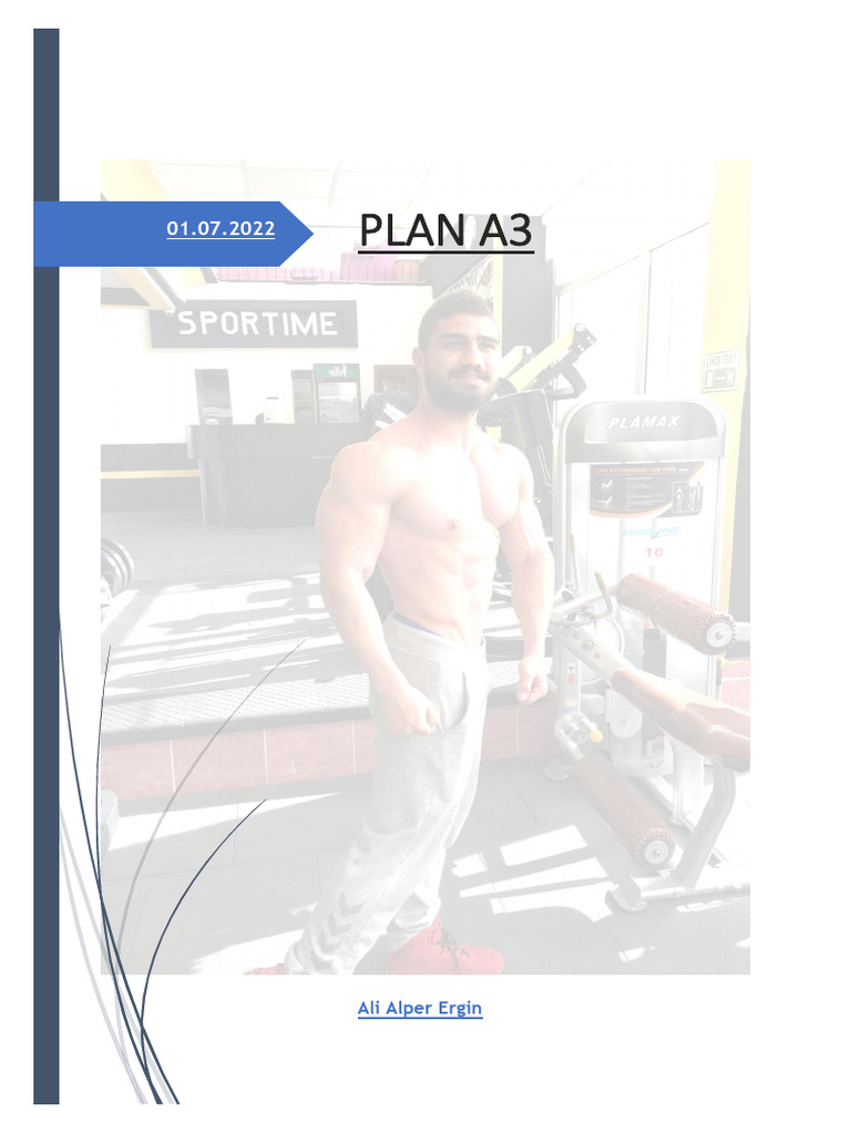 3 Plan | PDF