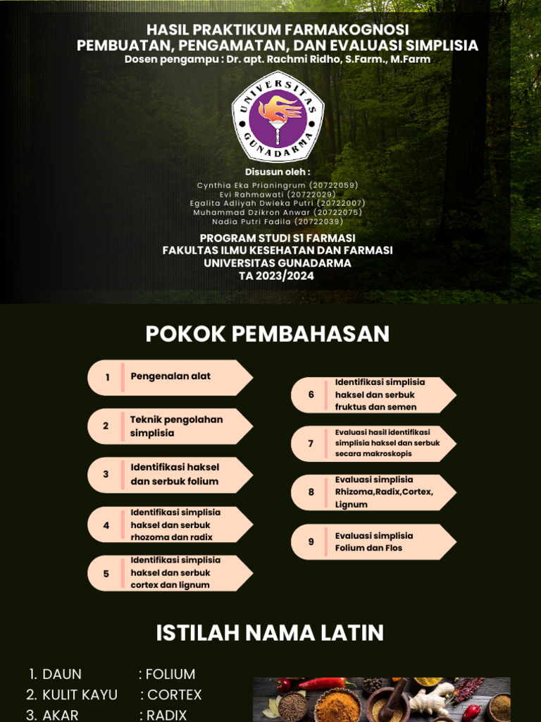 Hasil Praktikum Farmakognosi Pembuatan - Pengamatan - Evaluasi Simplisia | PDF | Sains & Matematika