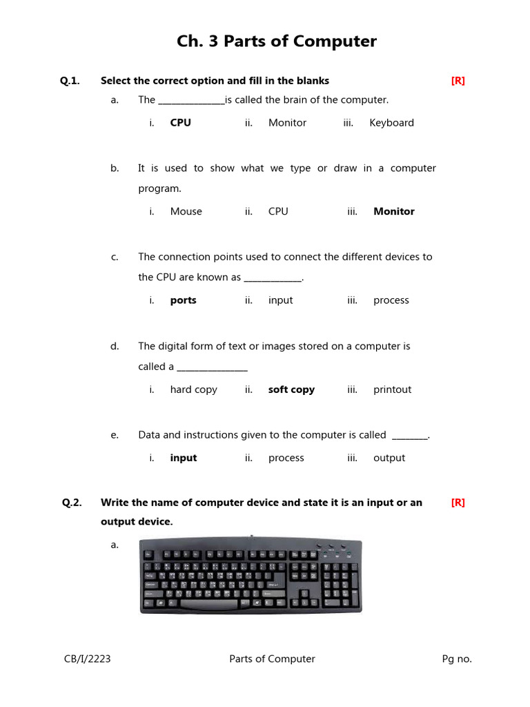 Understanding Computer Parts and Functions | PDF | Input/Output | Human ...