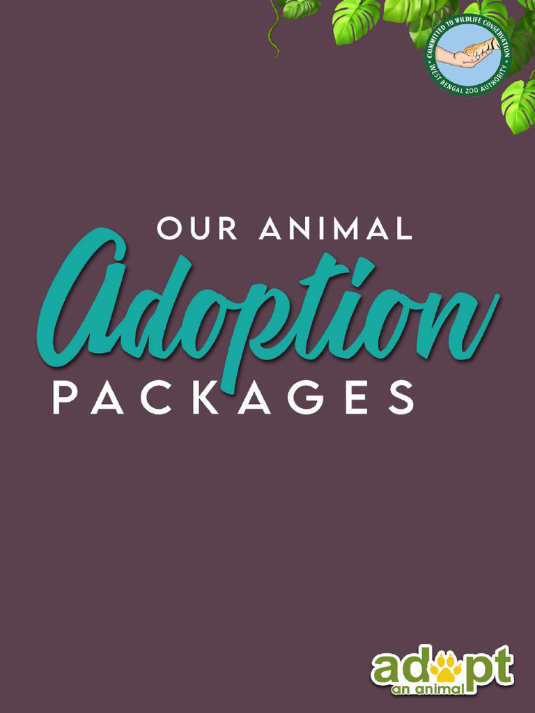 Adoption Rate Chart | PDF
