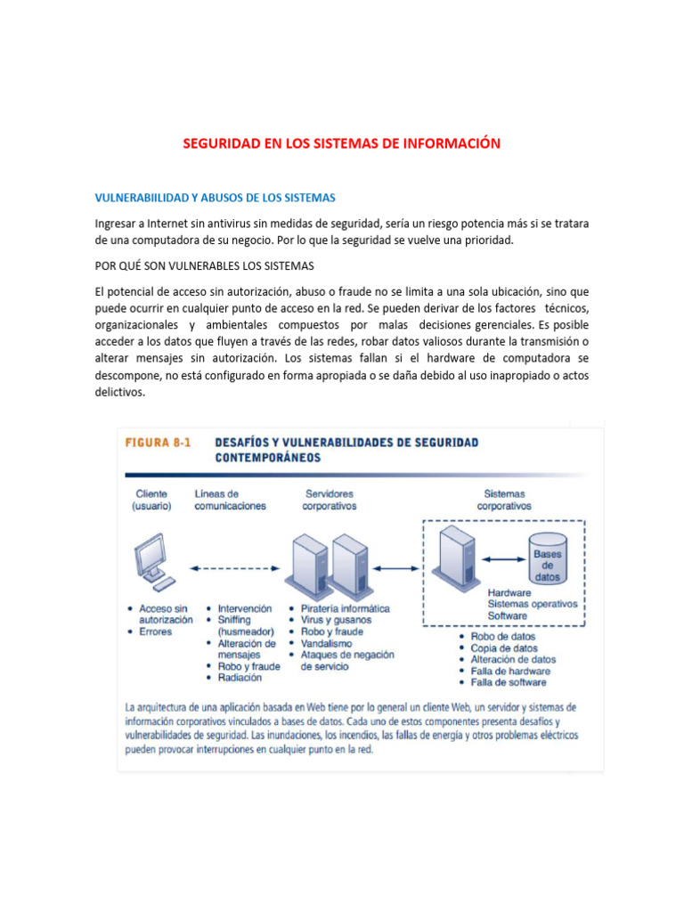 Lectura Obligatoria Complementaria Seguridad en Los Sistema de ...