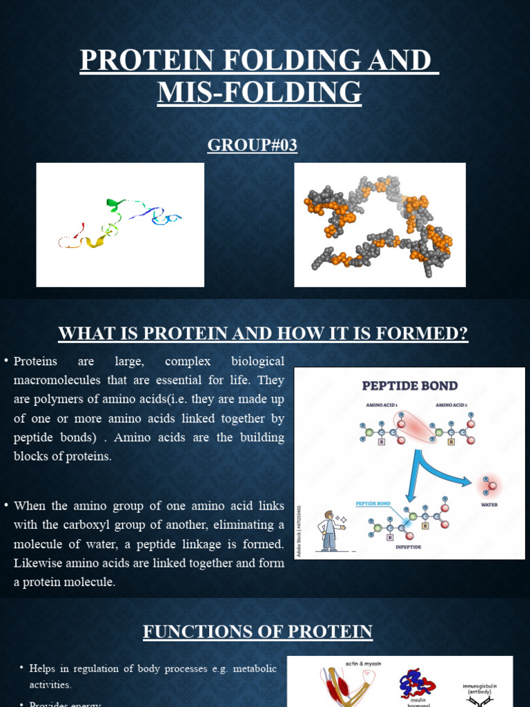 Protein Folding and Misfolding Explained | PDF | Protein Folding | Proteins
