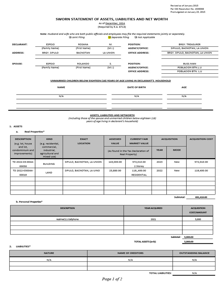 Sworn Statement of Assets 2024 | PDF | Net Worth | Economies