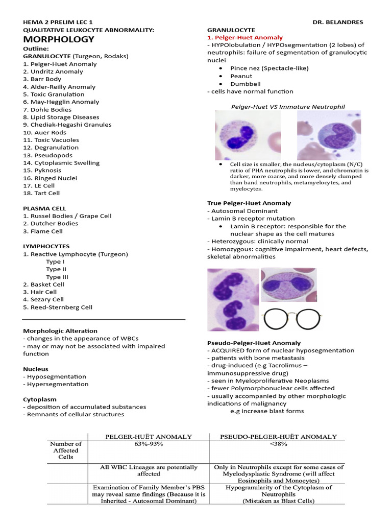 PRELIM 1 - WBC Abnormalities | PDF | White Blood Cell | Granulocyte