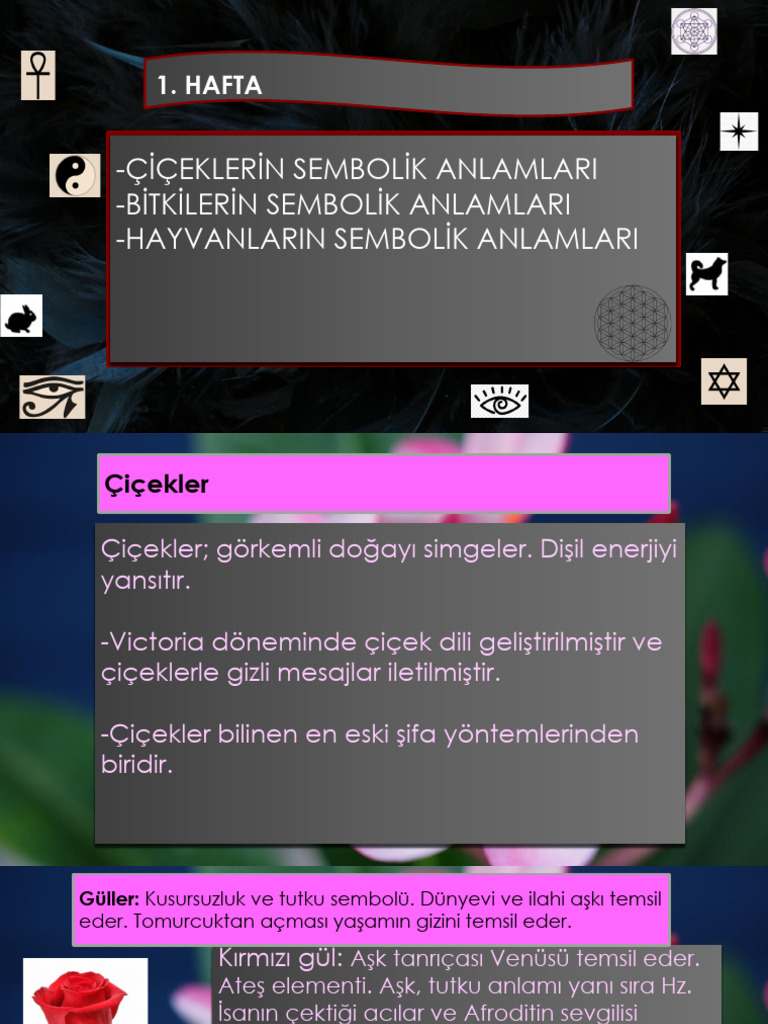 Semboller Eği̇ti̇mi̇ Tam Sunum - 240304 - 192727 2 | PDF