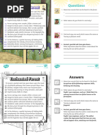 Descriptive Forest Writing Examples | PDF | Trees | Rainforest