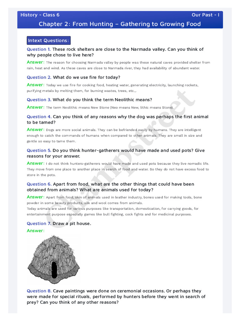 Class 6 History: Early Human Life | PDF | Cereals | Hunter Gatherer