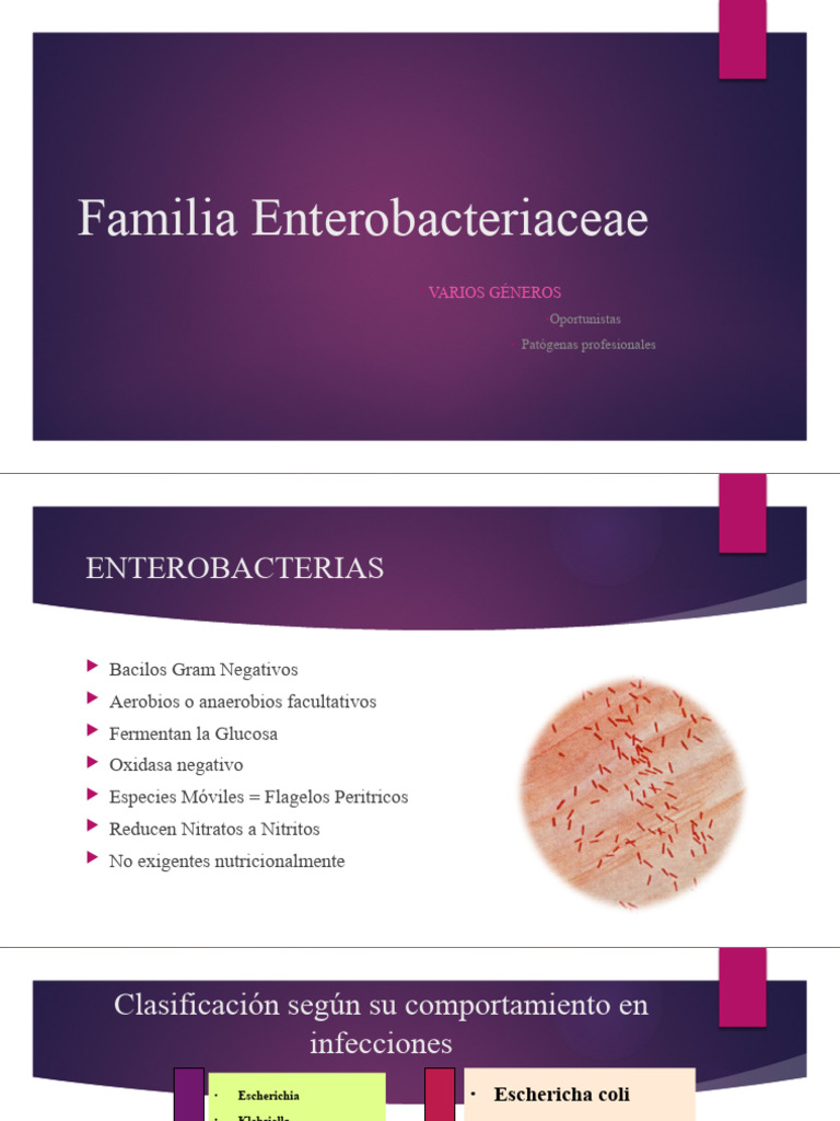 Familia Enterobacteriaceae | PDF | Escherichia coli | Diarrea