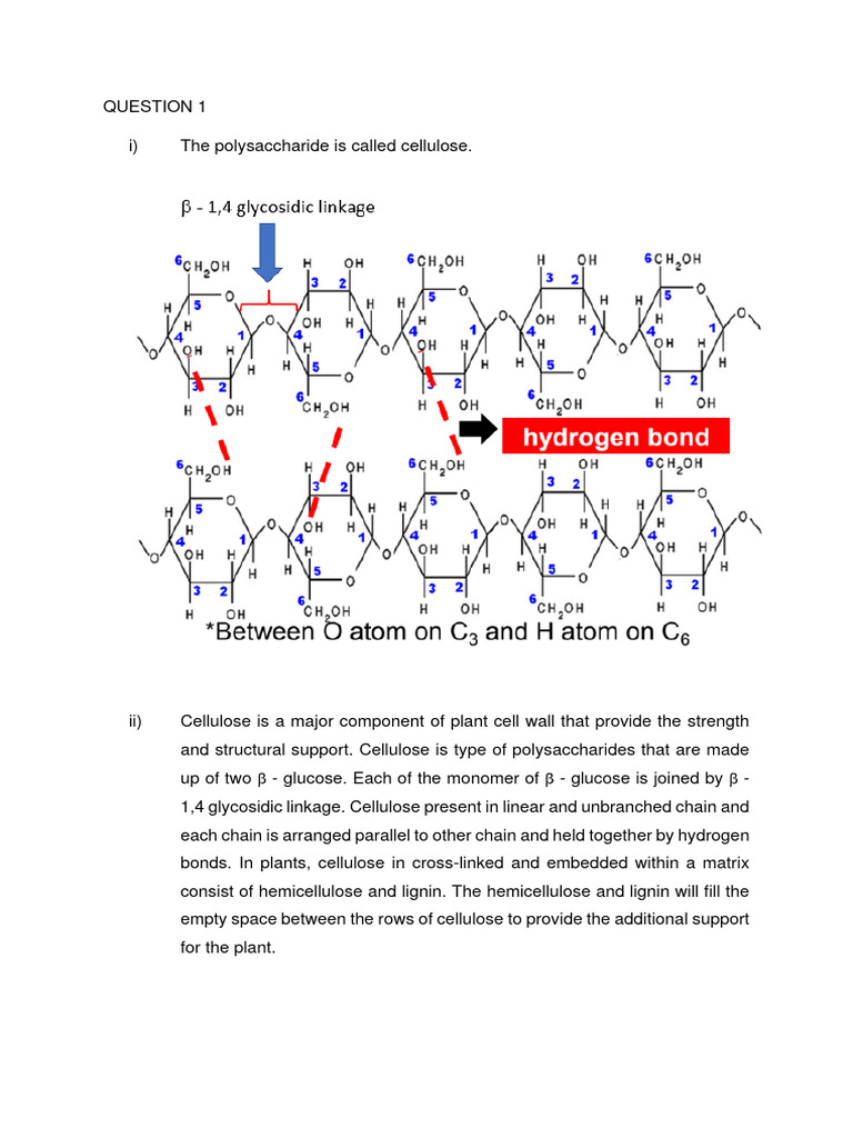 Draft Assignment Bio | PDF | Cell Membrane | Muscle