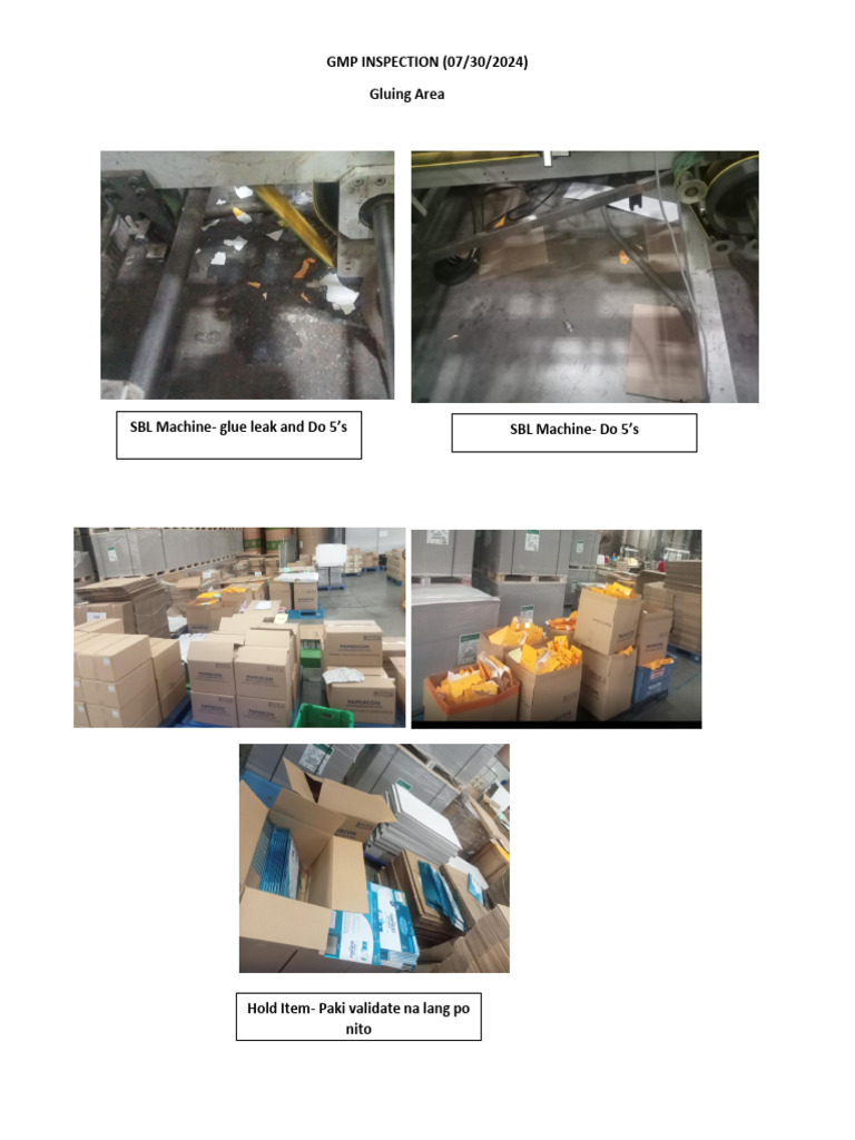 GMP Inspection 30 July 24 | PDF