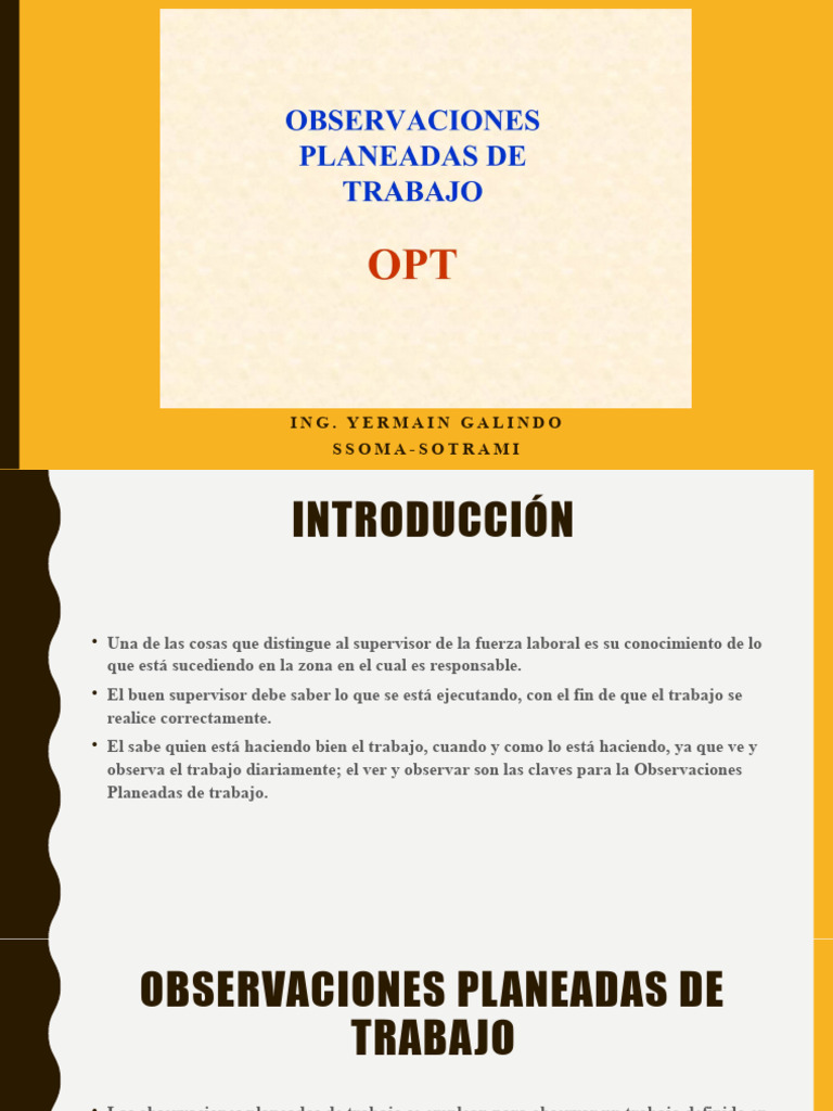 Capacitación OPT | PDF