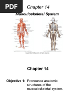 Musculoskeletal System Abbreviations: Abbreviation Meaning | PDF ...