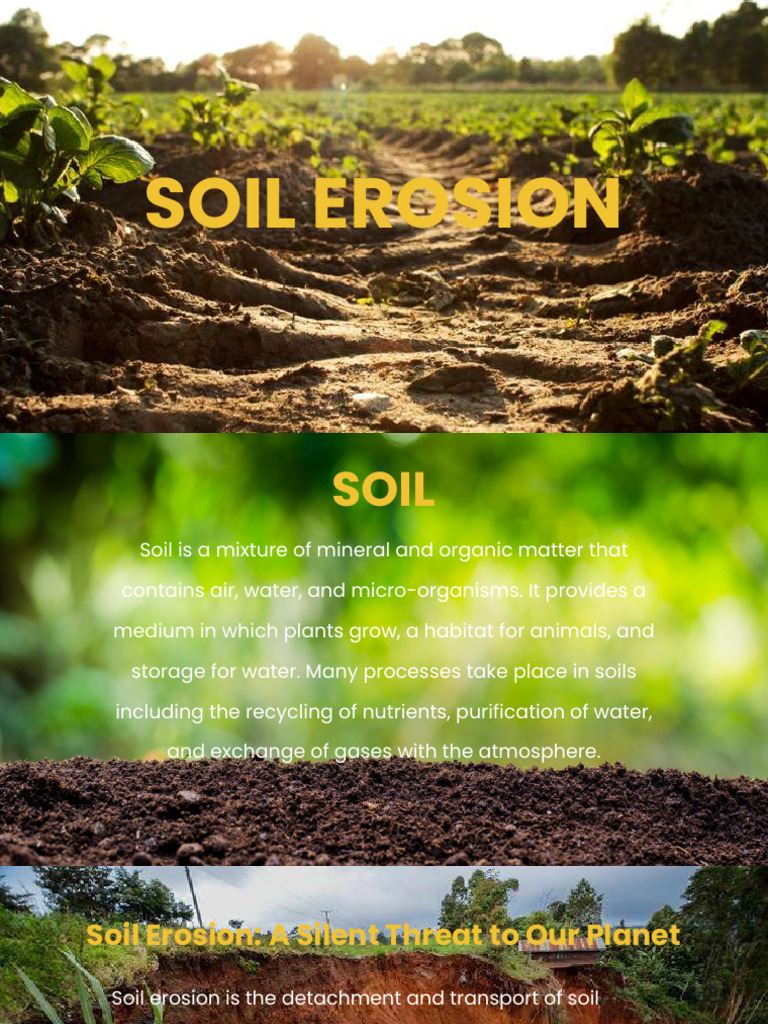 Soil Erosion | PDF | Erosion | Soil