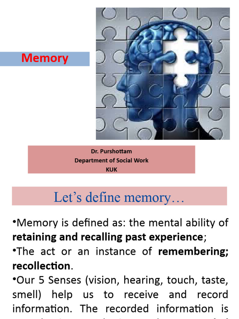 11 Human Memory 1 Pdf Memory Long Term Memory