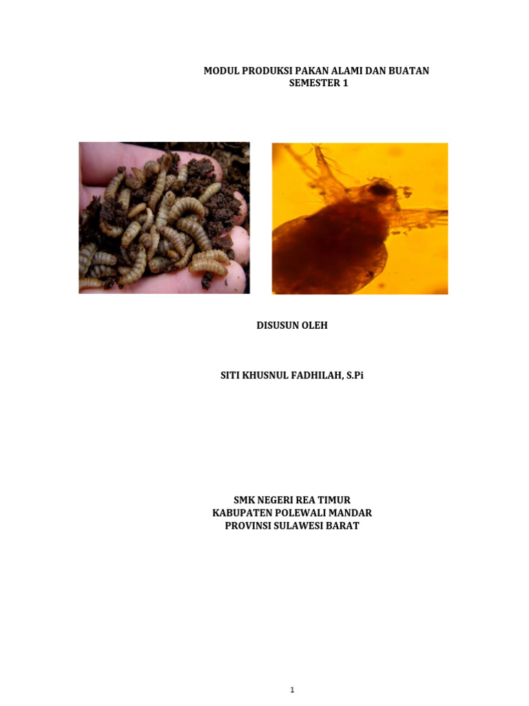 Modul Pakan Ikan | PDF | Teknologi & Rekayasa