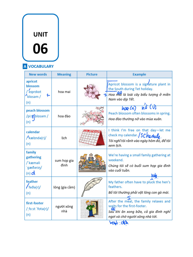 Unit 6 | PDF
