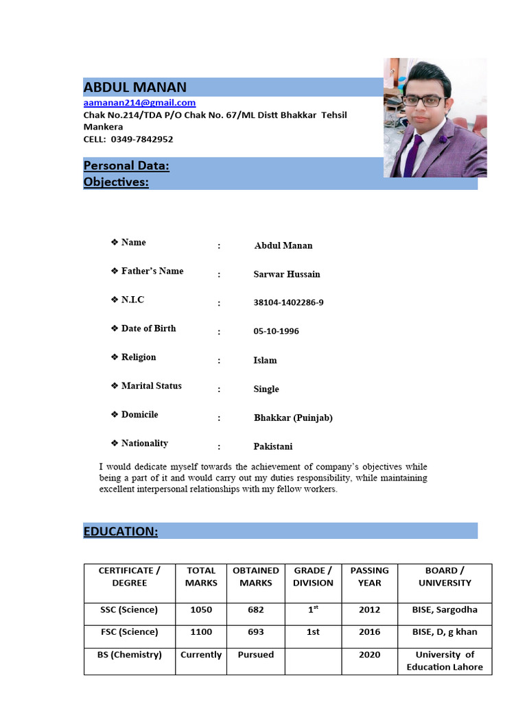 CV Abdul Manan 214 | PDF