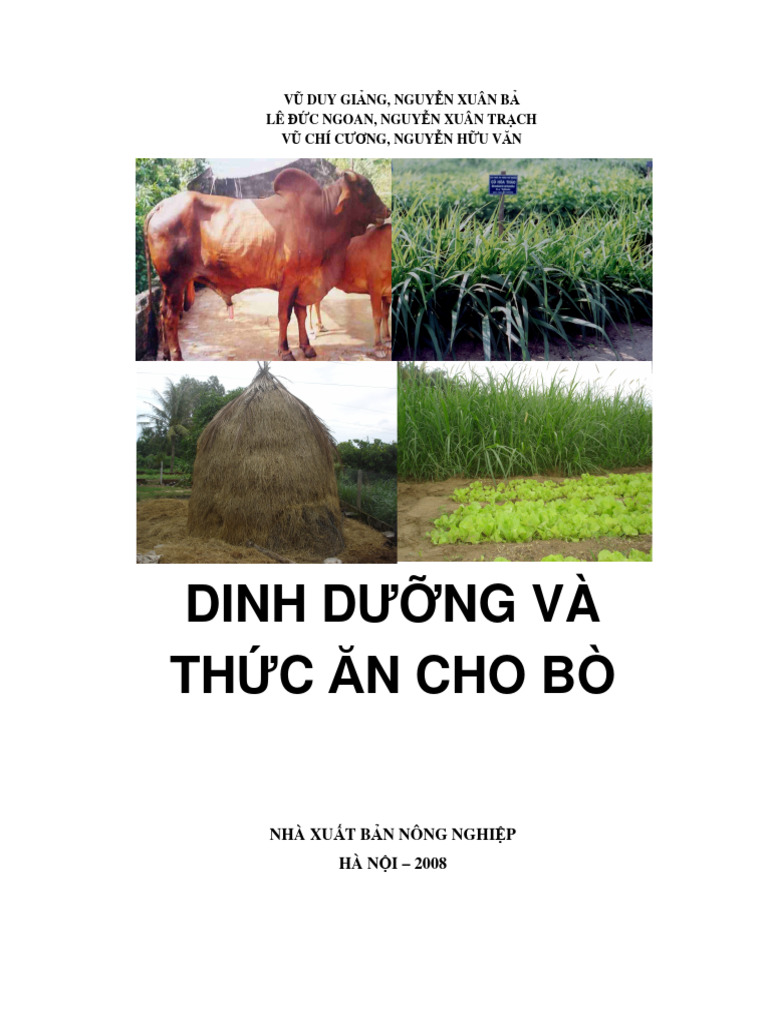 Dinh Dư NG Và TH C Ăn Cho Bò | PDF